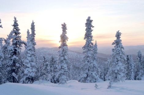 Home - John Hall's Alaska